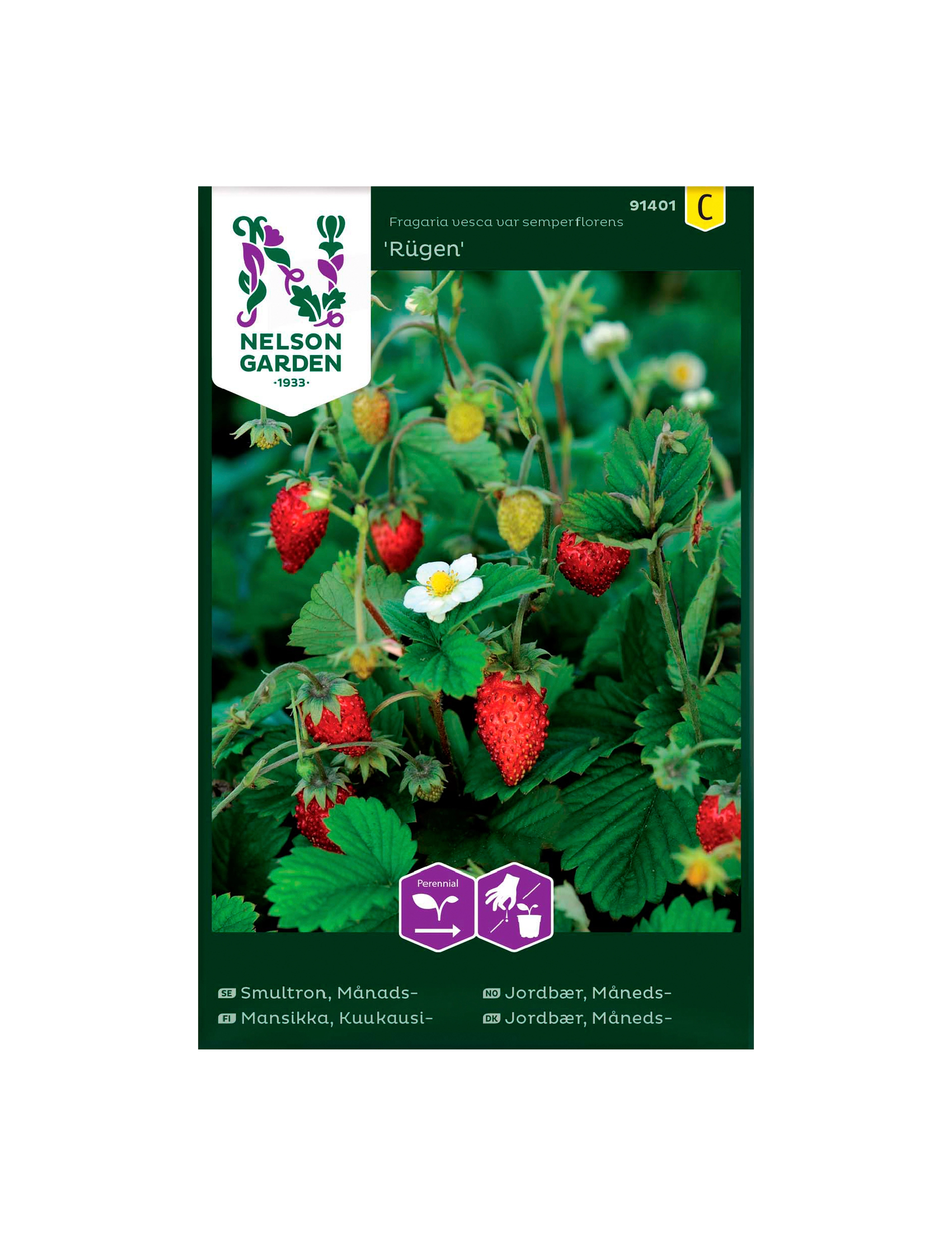 Marvært frø, Pisum sat. 'Kelvedon Wonder' | Plantorama