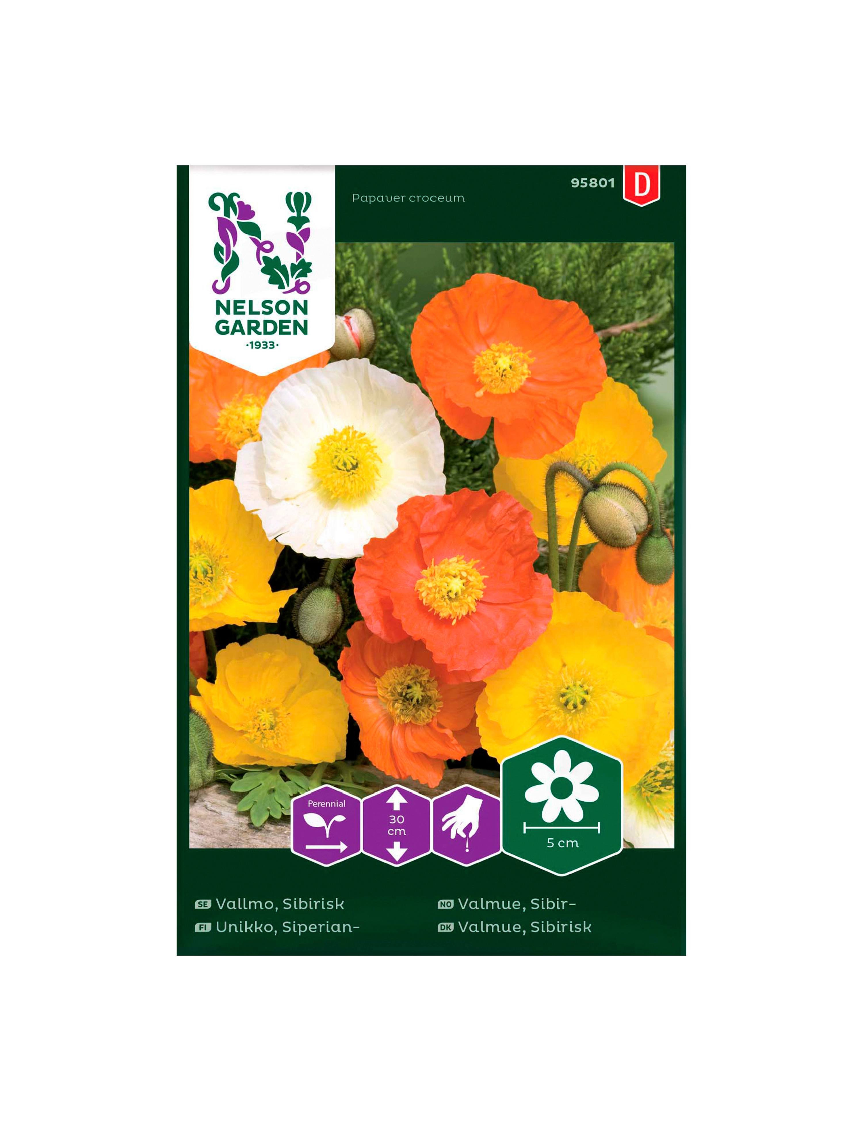 Sibirisk valmue frø, | Plantorama